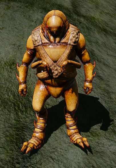 Zyn'Dos